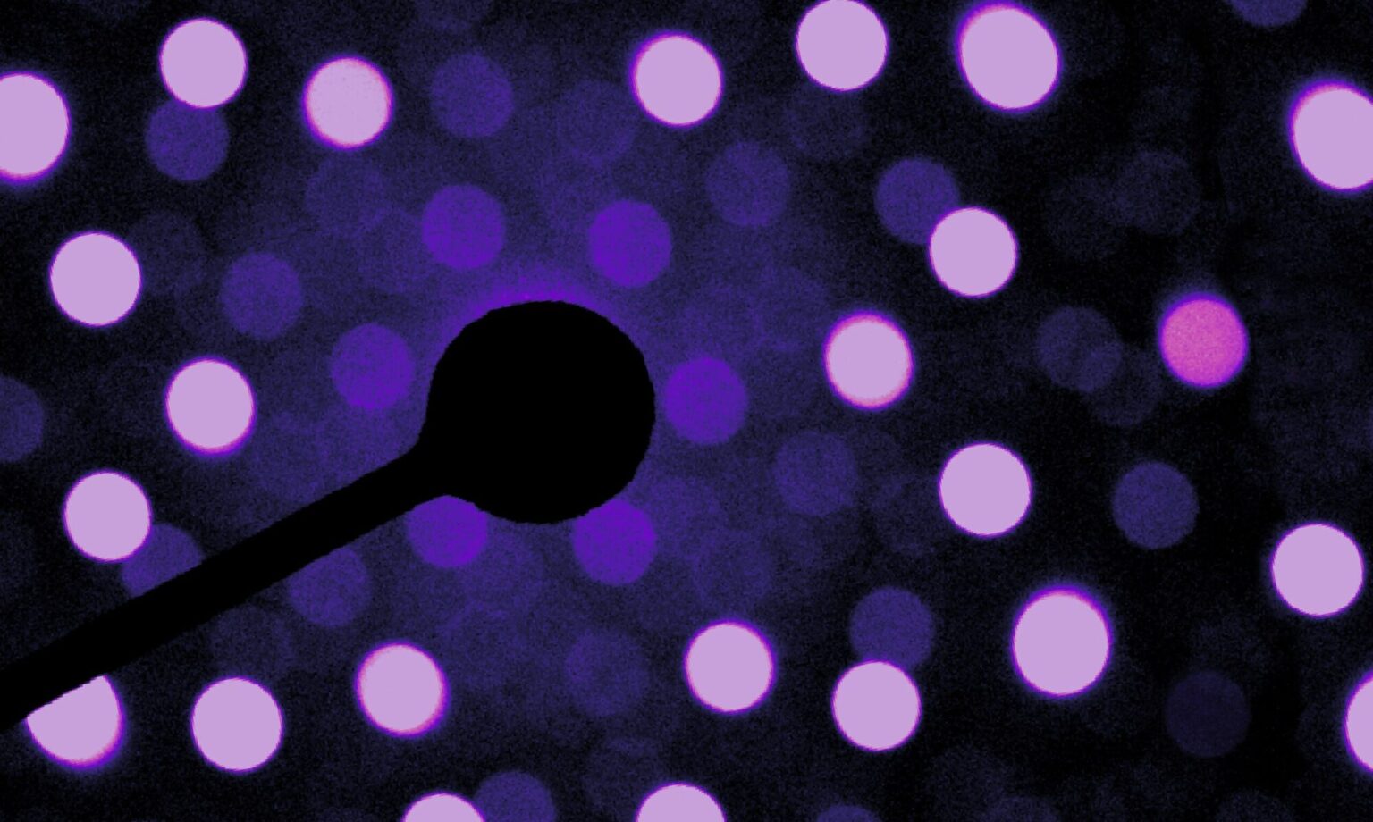 Next-Generation Quantum Materials for Quantum Computing, Sensing, and ...